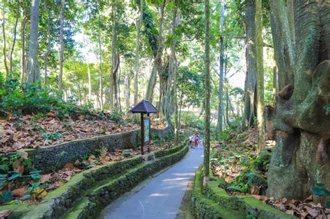 발리 우붓 가볼만한곳 우붓 여행코스 추천 네이버 블로그