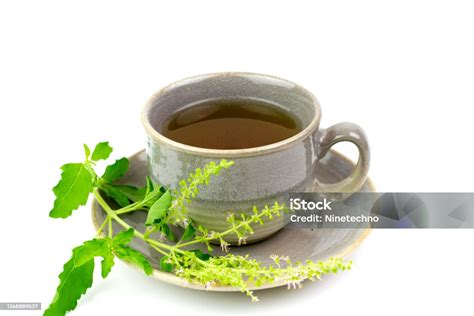 털시 잎과 흰색 배경에 고립 된 가지와 회색 세라믹 컵에 털시 또는 거룩한 바질 차 홀리바질에 대한 스톡 사진 및 기타 이미지