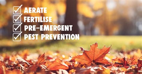 Autumn Lawn Care To Do List The Turf Farm Premium Instant Lawn