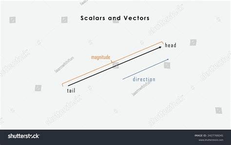 Scalars Vectors Magnitude Direction Stock Vector Royalty Free