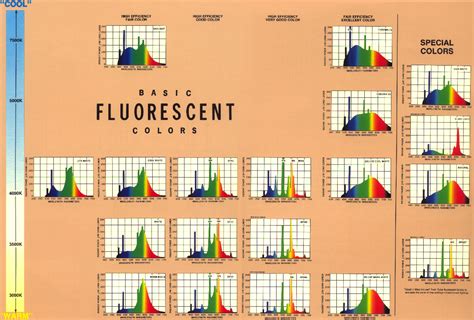 Specifying Light And Color