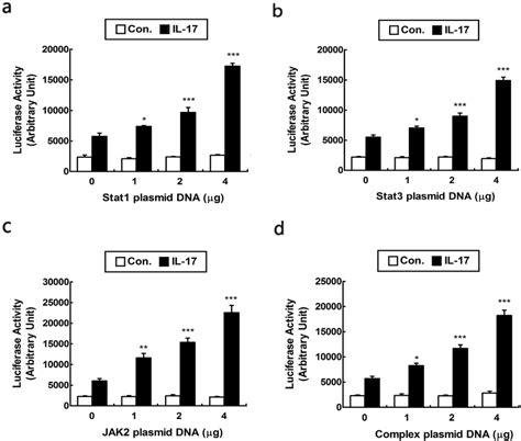 Il 17 Enhanced The Transcriptional Activity Of Vegf Promoter By