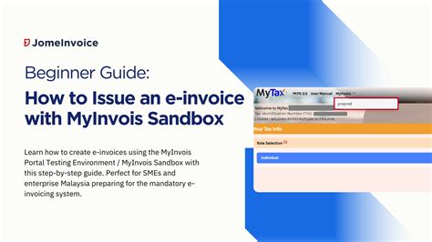 Beginner Guide To Issue An E Invoice With MyInvois Portal Testing Environment In