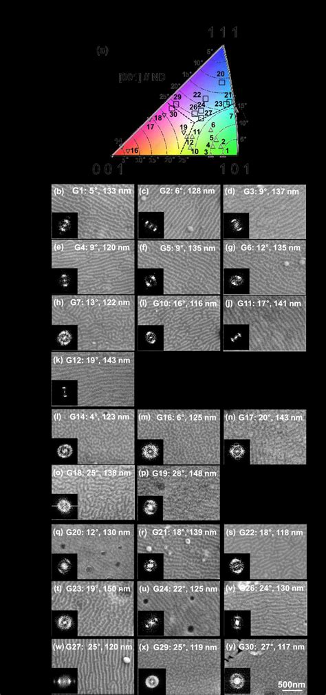Ebsd Ipf Triangle And Sem Images Showing 24 Grains With Surface Normal