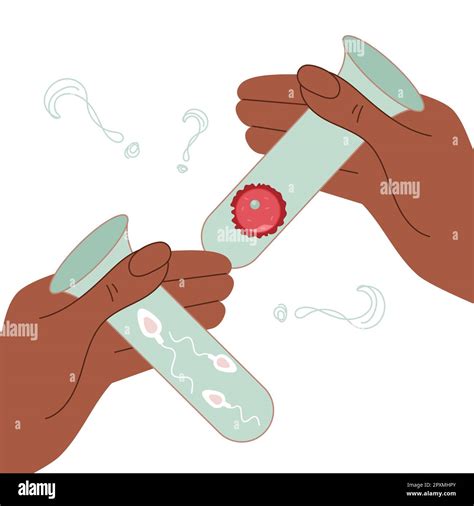 Hands Hold Test Tube With Sperm Cell And Egg Cell For Artificial
