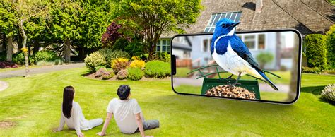 Osoeri Bird Feeder With Camera Smart Bird Feeder Camera With P Hd