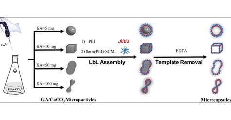Shape Effect Of Polymer Based Multilayer Microcapsules On Cellular