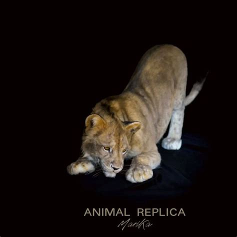 Art Animal Replicas On Instagram Available For Adoption ♥️ Simba