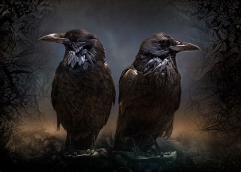 Hugin And Munin Poster By Walter Bruneel Displate Hugin And Munin