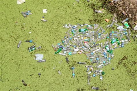 Nutrient Water Pollution