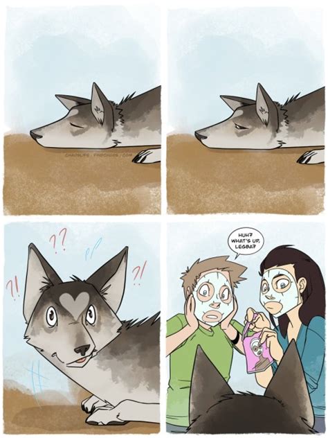 Weird Wake Chaoslife