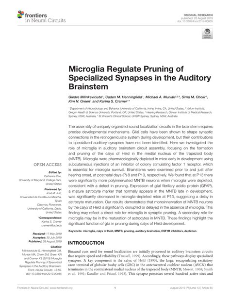 Pdf Microglia Regulate Pruning Of Specialized Synapses In The