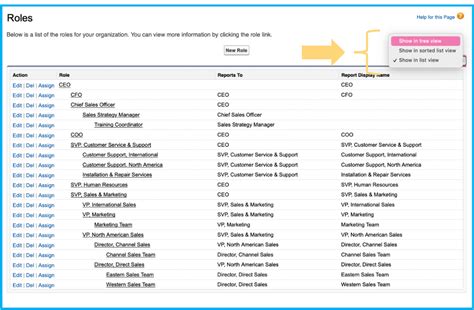 How To Create A Role Hierarchy In Salesforce Go Coding