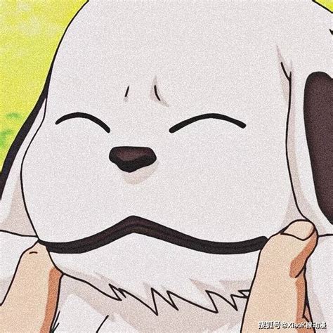 一人加一狗，目标是成为火影，犬冢牙头像 搜狐大视野 搜狐新闻