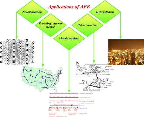 Behavior Of Artificial Feeding Birds Afb Using Meta Heuristics Method