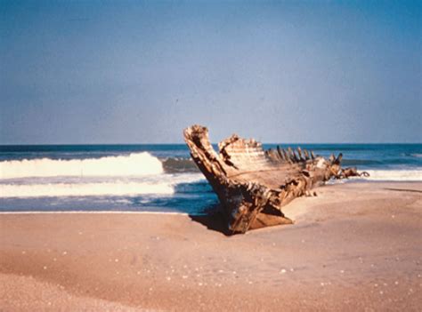 Divergent Plate Boundary—passive Continental Margins Geology U S