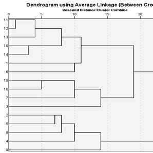 Cluster Analysis Involving All 16 Parameters Download Scientific Diagram