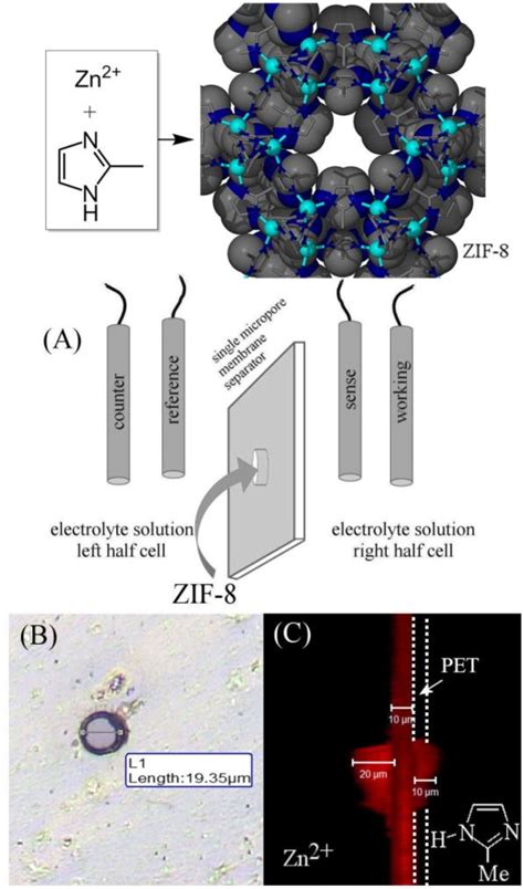 Figure 1 From Ion Flow In A Zeolitic Imidazolate Framework Results In Ionic Diode Phenomena