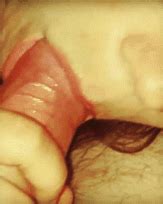 Pompini Galleria Gif Gifs Sesso Porno GIF XXX GIFs PICTOA