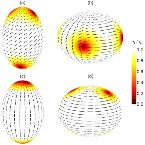 The Degree Of Nematic Ordering And The Directions Of Molecules On