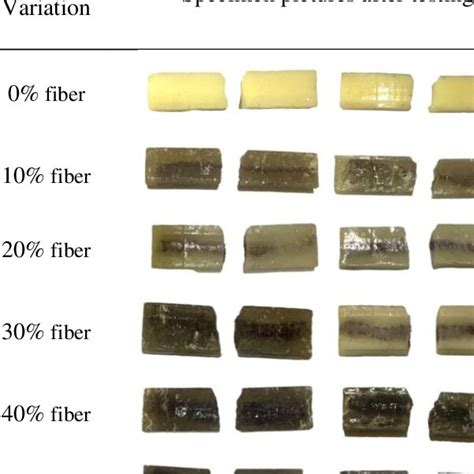 Specimen Pictures After Testing Download Scientific Diagram