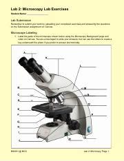 Lab Microscopy Lab Exercises Microscope Labeling And Using Course Hero