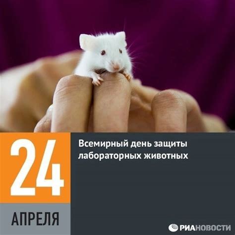 24 апреля День защиты лабораторных животных БЕРУТ БОЛЕЗНЬ НА СЕБЯ