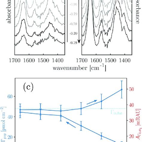 Potential Dependent Atr Ir Spectroscopy Of K Spectra In P Polarisation