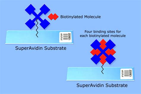 arrayit corporation aryc products dna microarrays microarrays