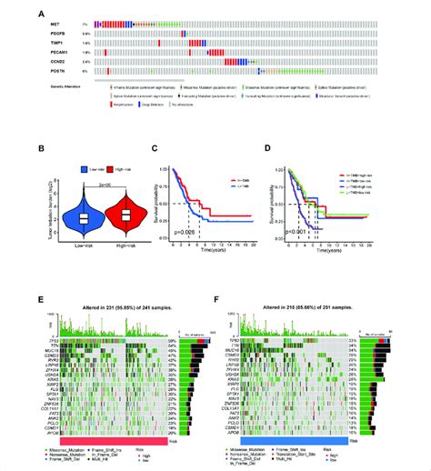 Tumor Mutation Burden And Gene Mutation Analysis A Genetic
