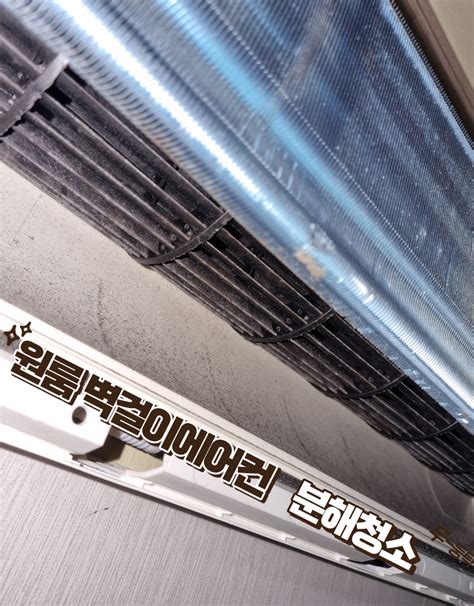 익산 신동 원룸 대우 구형 벽걸이 에어컨 분해청소 전라북도 익산시 어양동 비즈프로필