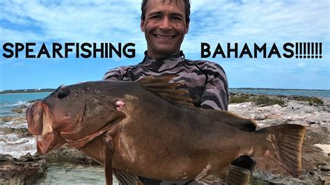 AWESOME BAHAMAS POLE SPEAR SPEARFISHING Catch Cook YouTube