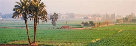 مذكرة توجيه الرياضيات بالدقهلية 2023 Pdf للصف الثالث الإعدادي بنك أسئلة بالحل شبابيك