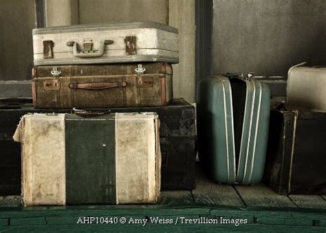 Trevillion Images Trevillion Still Life Art Art For Sale Fine Art