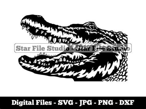 Alligator 4 Svg Alligator Png Alligator Amphibian Svg Etsy