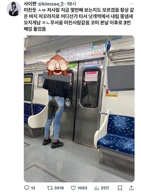 역대급 지하철 빌런 유머 움짤 이슈 에펨코리아