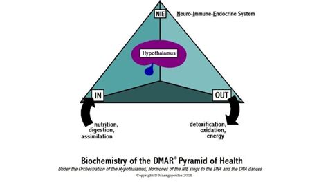Balance Your Hormones Genesis Gold