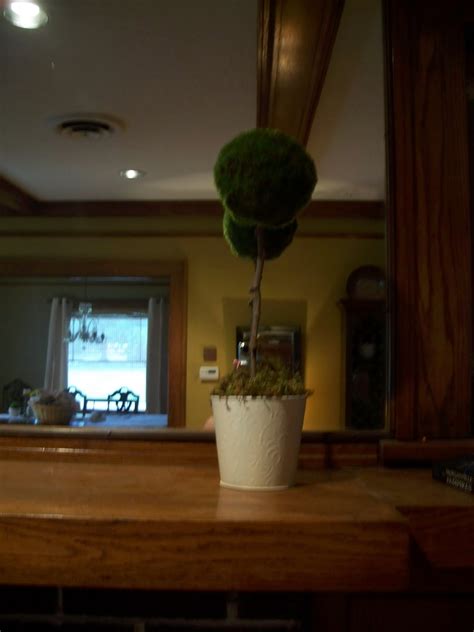 Widdlebugs Mossy Topiaries