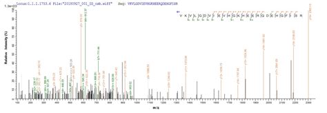 Recombinant Human Alpha Crystallin B Chaincryabcusabiocn