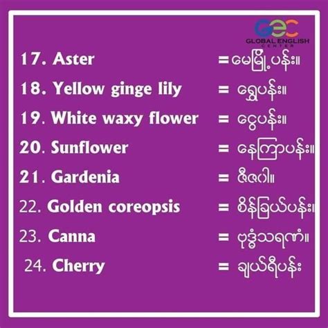 Flower Names ပန်းအမည်များ Education Kyaw Kyaw Zin Facebook