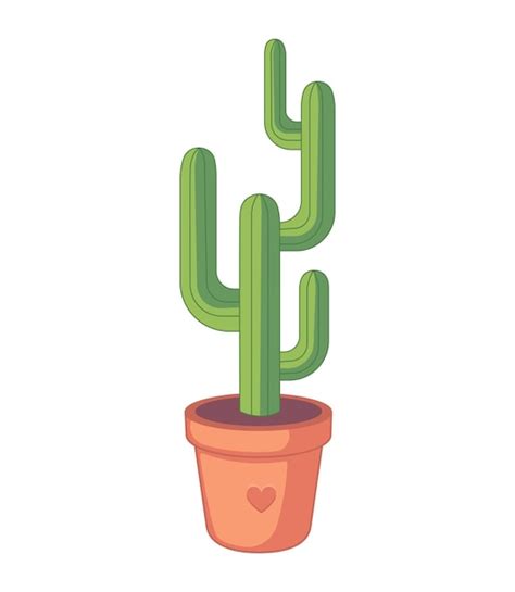 Cactus Vector Premium