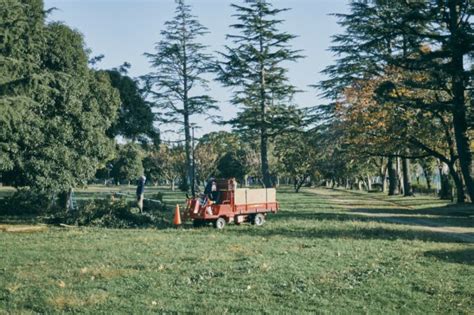 周八枚 Light Lens Lab 35mm F2 Fotone フォトン カメラ、レンズのレビューと写真 Fotone
