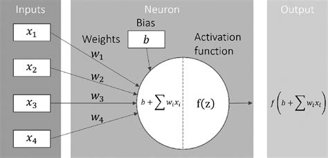 1 artificial neuron with four inputs download scientific diagram