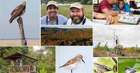 Audubon's Aurelio Ramos Sees the World Through Birds | Audubon