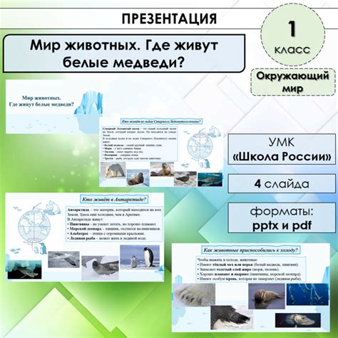 Конспект урока по предмету «Окружающий мир для 1 класса на тему «Мир животных Где живут белые