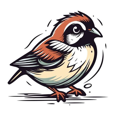 Premium Vector Sparrow Vector Illustration Isolated On A White Background