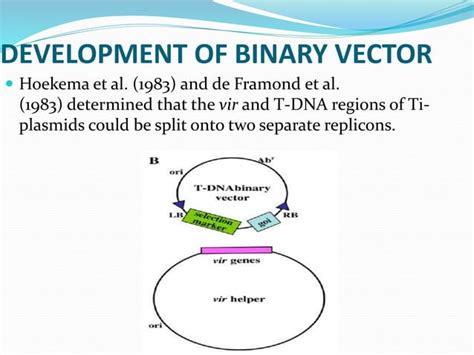 Binary Vector By Kk Sahu Sir Ppt