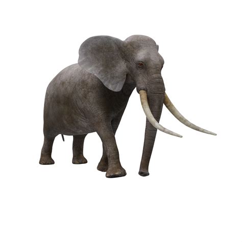 3d Elephant Isolated 18758009 Png