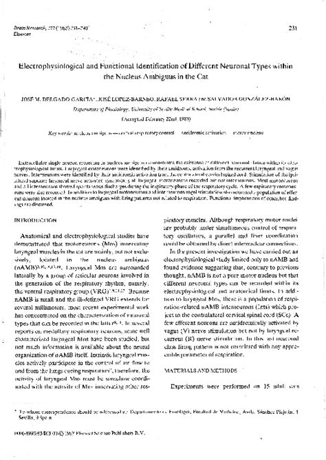 Pdf Electrophysiological And Functionalidentification Of Different