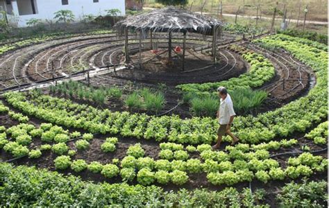 Agricultura Sustentável E Alternativa ~ Vagão Sustentável